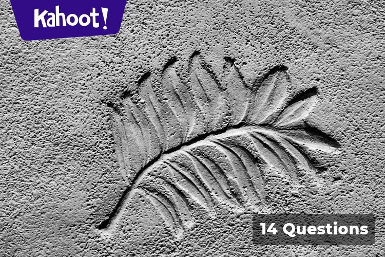 Science Chapter 11: Fossils - Kahoot! Quiz
