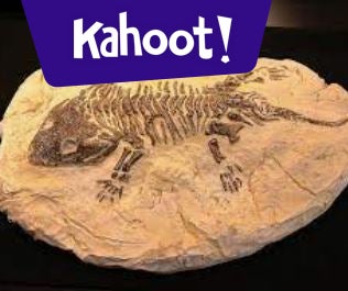 Fossils - Kahoot! Quiz