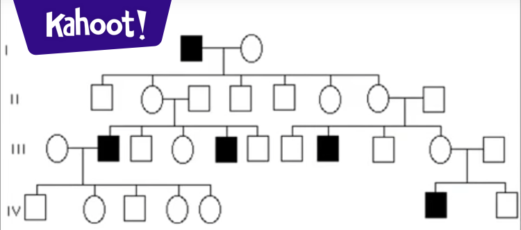 Genetics Review - Kahoot! Quiz