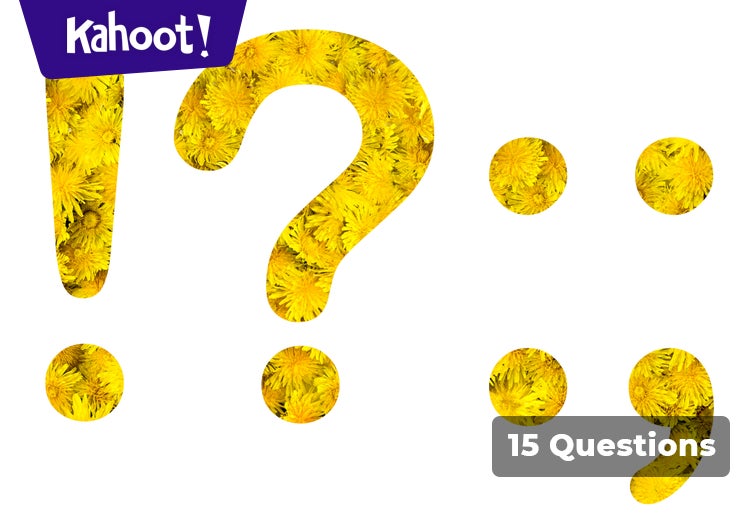Grammar Lesson 14 Punctuation for Effect 4th grade - Kahoot! Quiz