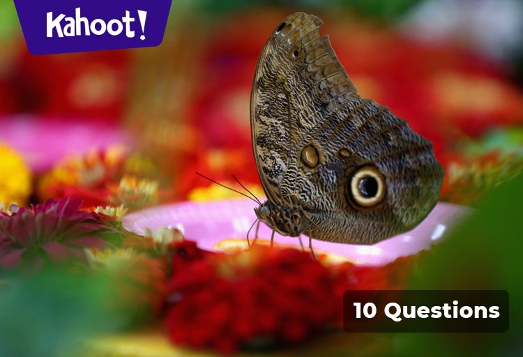 Reproduction in Plants - Kahoot! Quiz