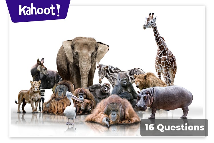 Wild animals - Kahoot! Quiz