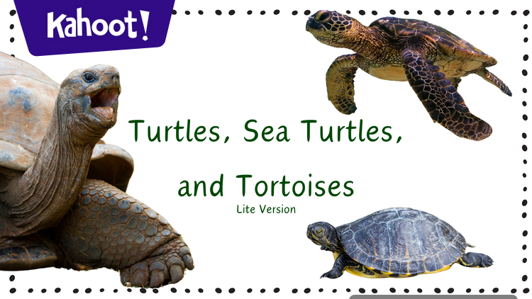 All About Turtles, Sea Turtles, and Tortoises - Kahoot! Quiz