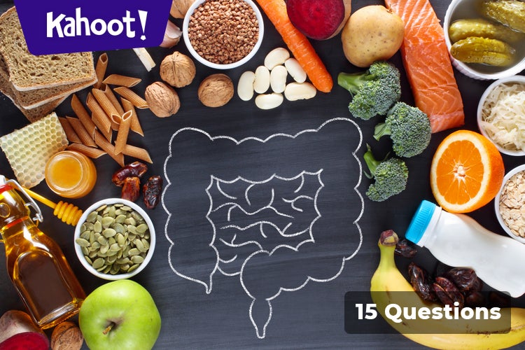 The Digestive System - Kahoot! Quiz