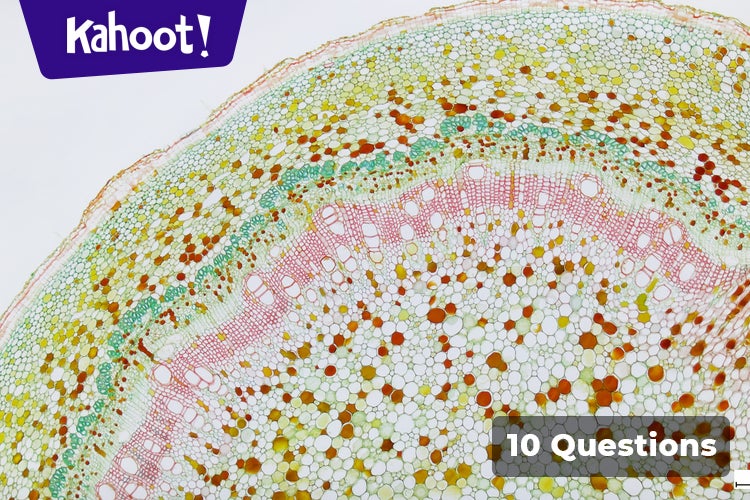 Tissues I Class 9 I 18-08-23 - Kahoot! Quiz