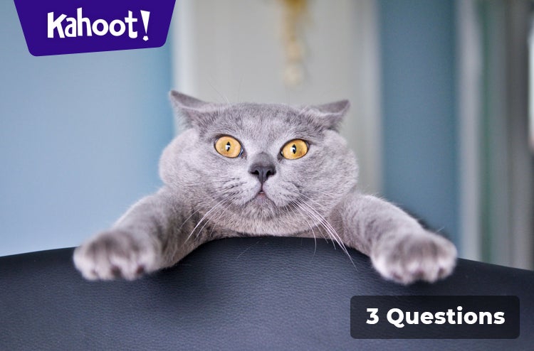 Animais - Kahoot! Quiz