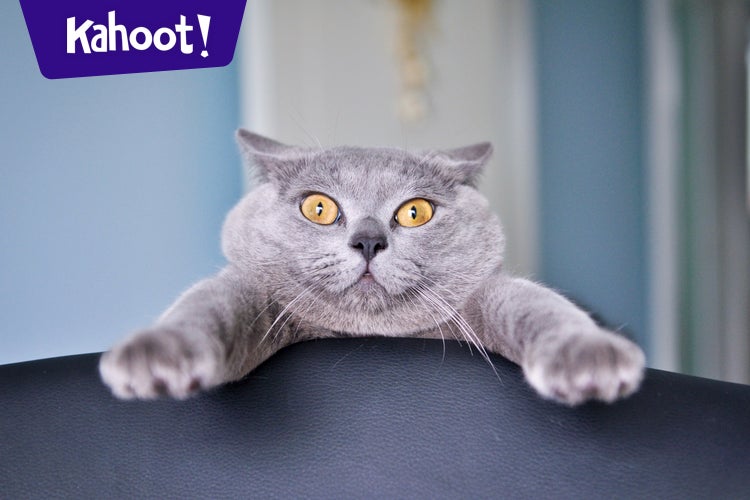 First Aid Test Review! - Kahoot! Quiz