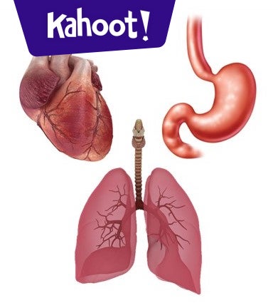 2nd Grade CKLA Domain 10 Review - Kahoot! Quiz