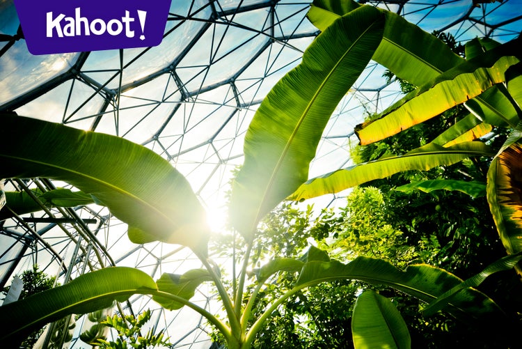 Amplify Unit 4 Matter and Energy in Ecosystems Vocabulary - Kahoot! Quiz