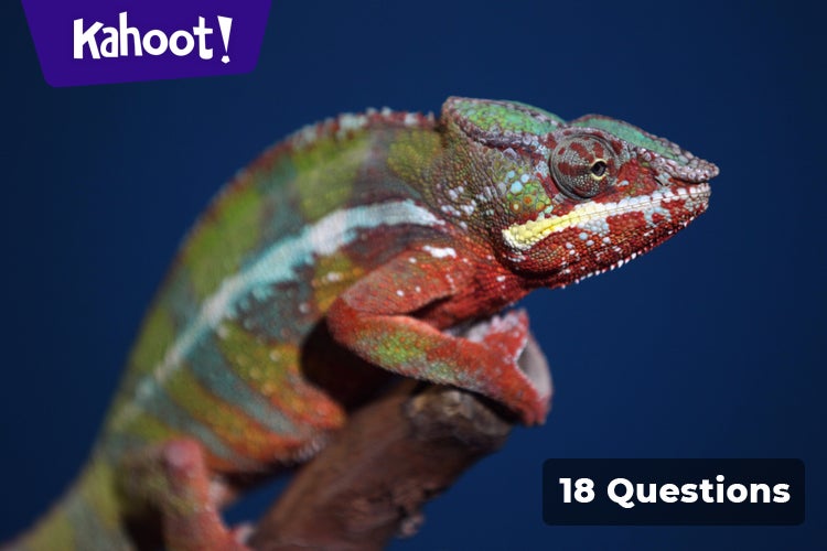 Animals and habitats - Kahoot! Quiz