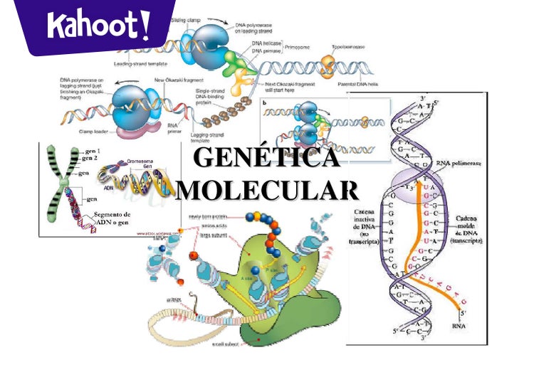 La genética molecular (ByG4º) (Sin I.G.) - Kahoot! Quiz