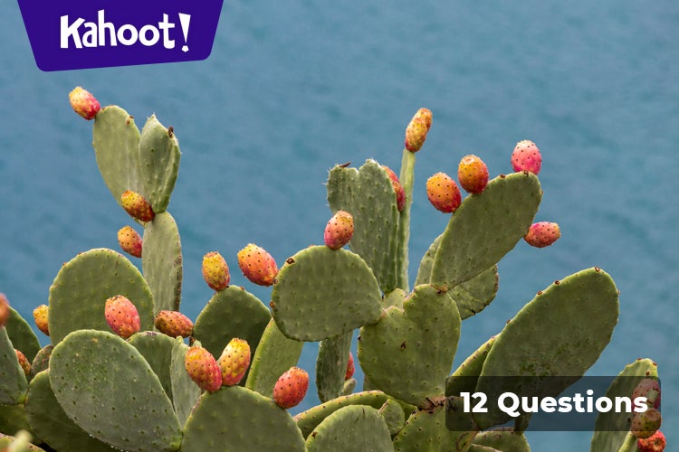 Desert Plant Adaptations - Kahoot! Quiz