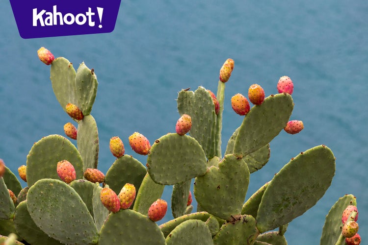 Lecture 16: Plant Ecology - Kahoot! Quiz