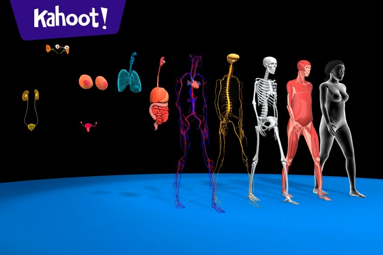 Human Body Systems - Kahoot! Quiz