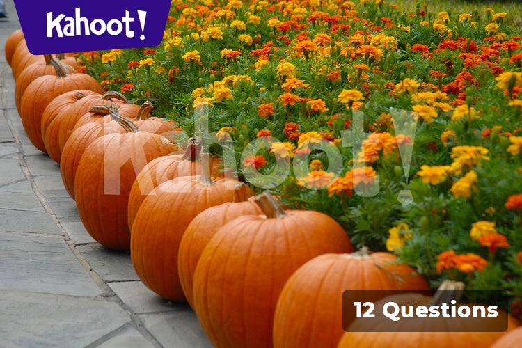 Multiplication: Using Arrays - Kahoot! Quiz