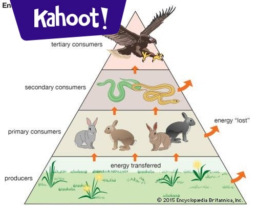 U2L3 Food Chains, Food Webs, and Energy Pyramids - Kahoot! Quiz