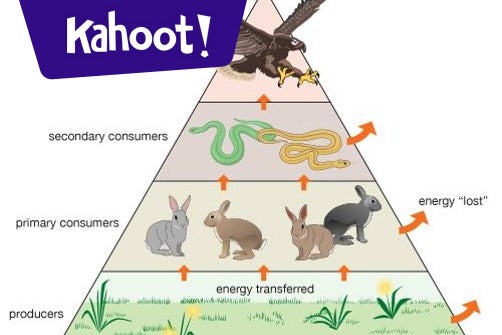 U2L3 Food Chains, Food Webs, and Energy Pyramids - Kahoot! Quiz