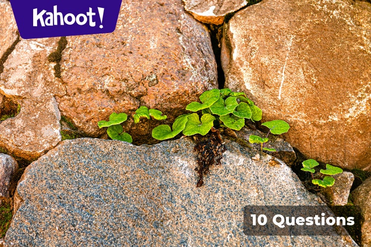 4th Science Dimensions Unit 6, Lesson 2 Quiz - Kahoot! Quiz