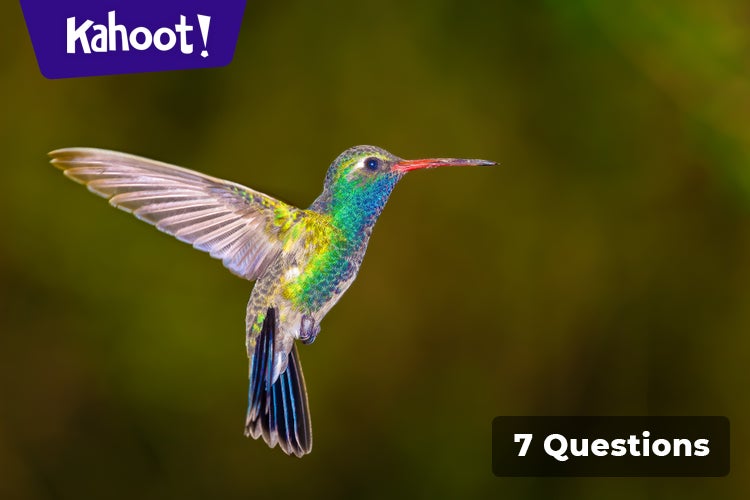 animals - Kahoot! Quiz