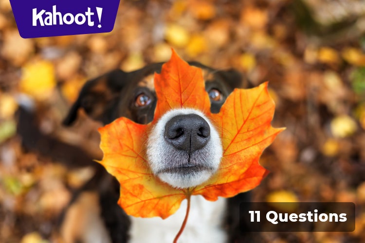 Rabbit Rabbit October - Kahoot! Quiz