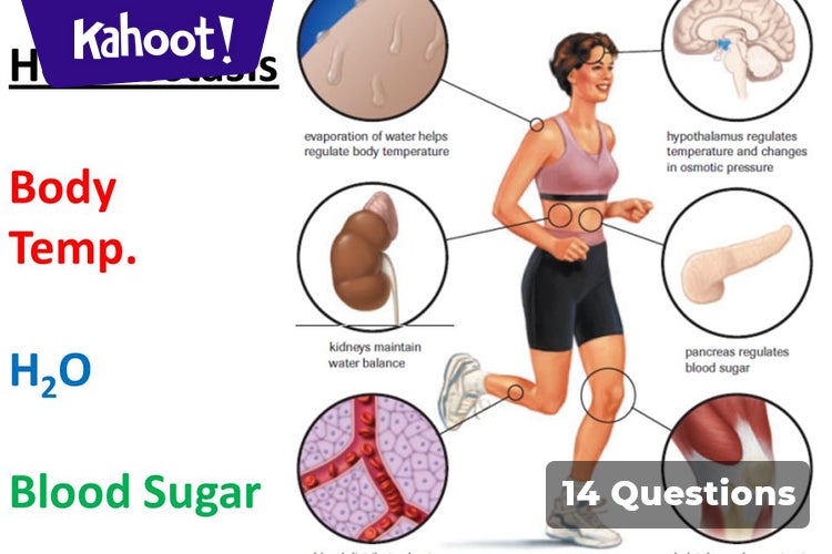 Homeostasis and Cell Processes - Kahoot! Quiz