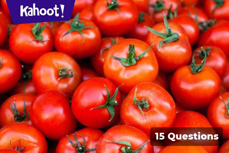 How many/much, a few, some, any, a lot of - Kahoot! Quiz