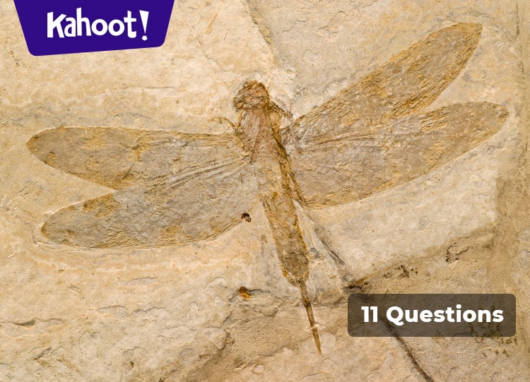 Evolution and Adaptation - Kahoot! Quiz