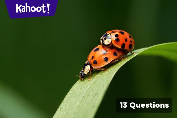 Evolution Of Sexual Reproduction Kahoot Quiz