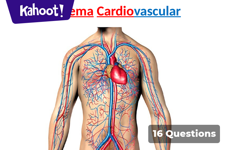 Sistema Cardiovascular - Kahoot! Quiz