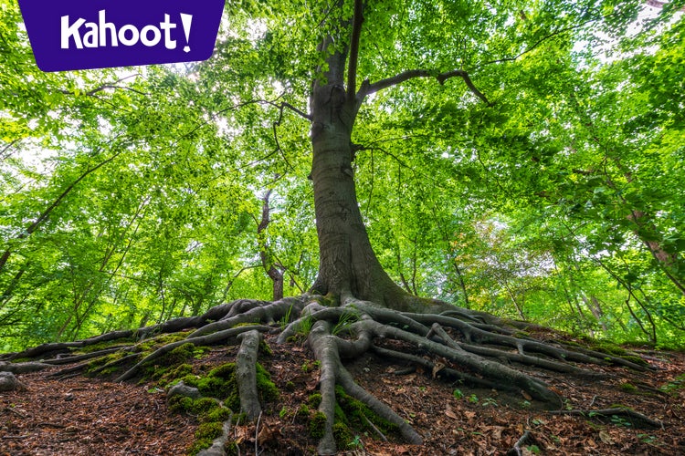 Greek & Latin Roots: hydro, hydr, bio, geo - Kahoot! Quiz