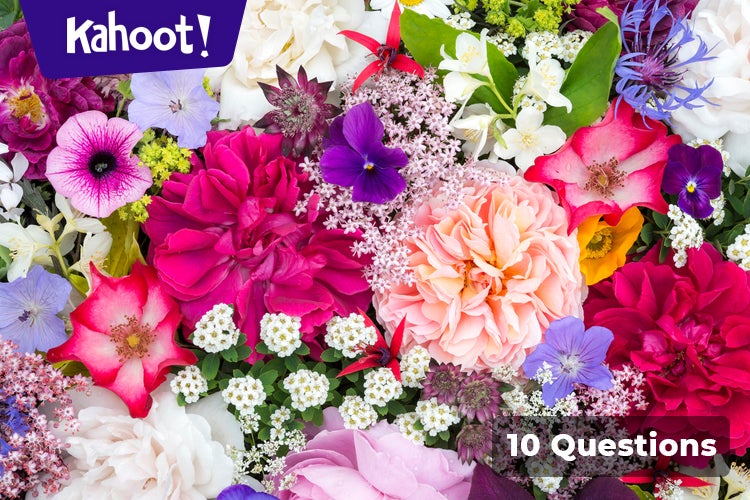 Flowers of spring - Kahoot! Quiz