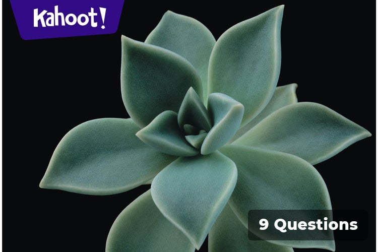 AP Biology Ch 52 An Introduction to Ecology and the Biosphere - Kahoot ...