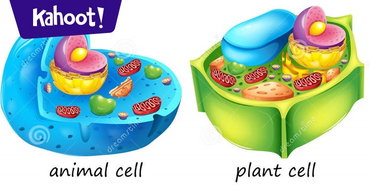 Cell Structure & Function; microscopes; osmosis; active transport ...