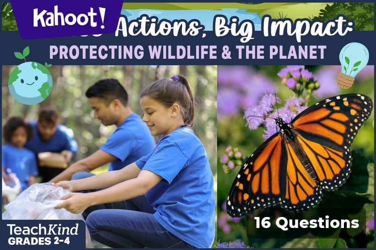 Small Actions, Big Impact: Protecting Wildlife & the Planet (2-4 ...