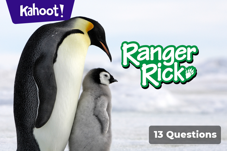 What's Your Penguin IQ? - Kahoot! Quiz