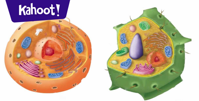 Cell Structures Unit 2 (2025) - Kahoot! Quiz