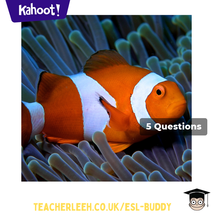 Sea Animals - ESL - 5 Questions - Very Fast - Kahoot! Quiz