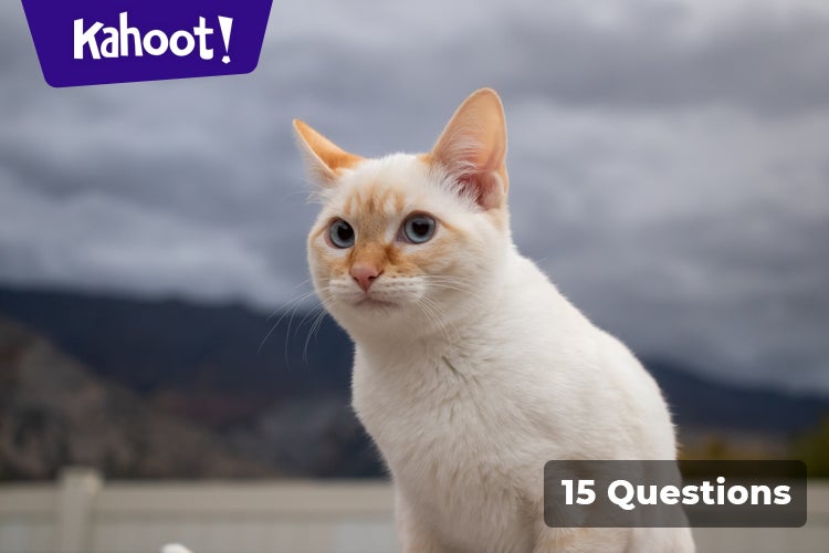 Animals #2 - Kahoot! Quiz