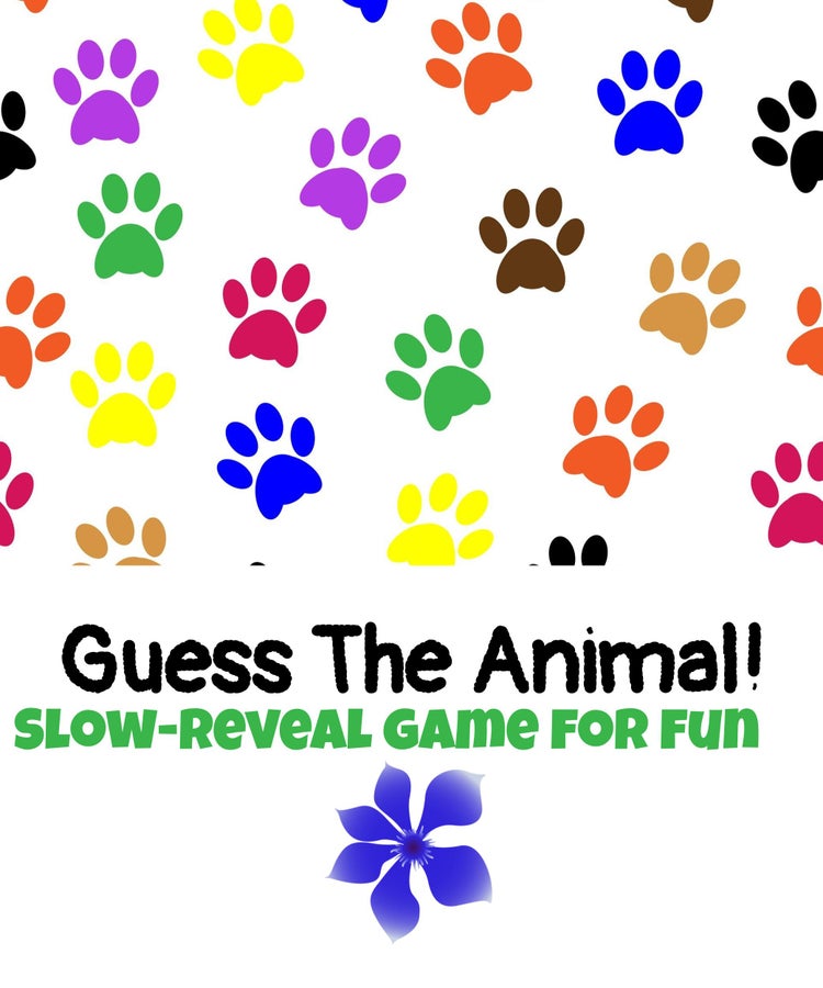 Guess The Animal! Slow-Reveal - Kahoot! Course