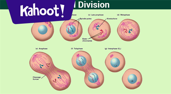 Cell Division - Kahoot! Quiz
