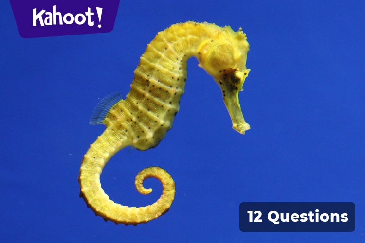 Rise and shine 4 unit 5; Lets help the oceans - Kahoot! Quiz