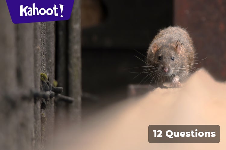 Benefits of fall leaves, hi-tech rescue rats, and the world's fastest ...
