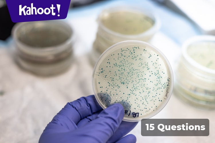 bacterial growth - Kahoot! Quiz