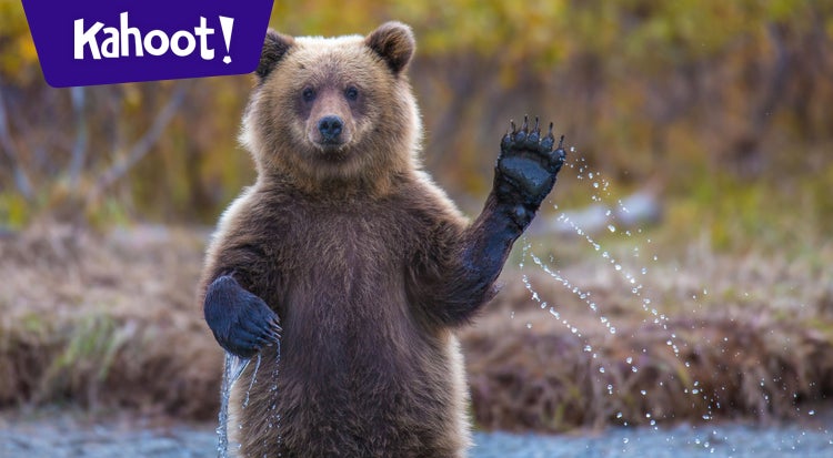 animals - forest - Kahoot! Quiz