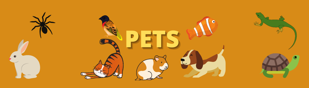 Pets - Kahoot! Quiz