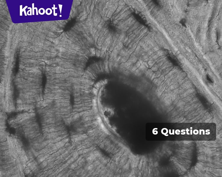 Intro to Skeletal Anatomy - Kahoot! Quiz