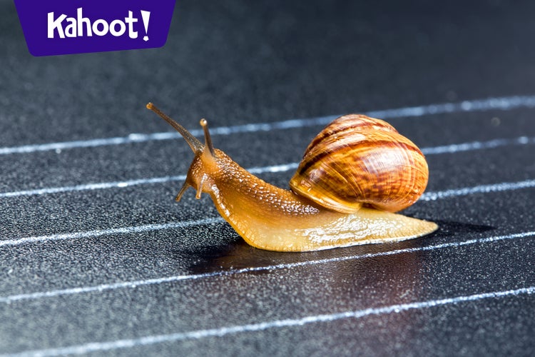Mollusks and Annelids - Kahoot! Quiz