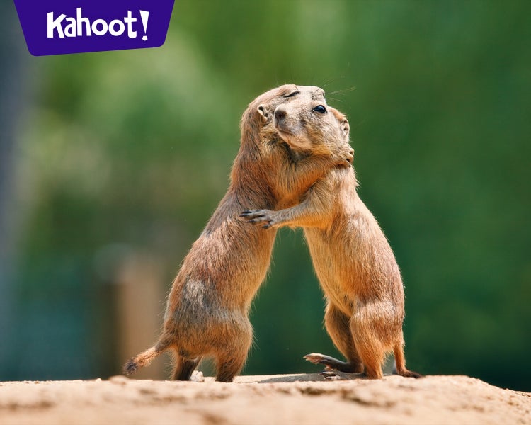 Duplicate of Environmental Science Final Exam Review - Kahoot! Quiz