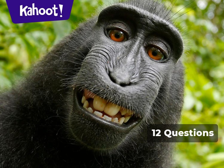 Kahoot animals lesson 2 - Kahoot! Quiz