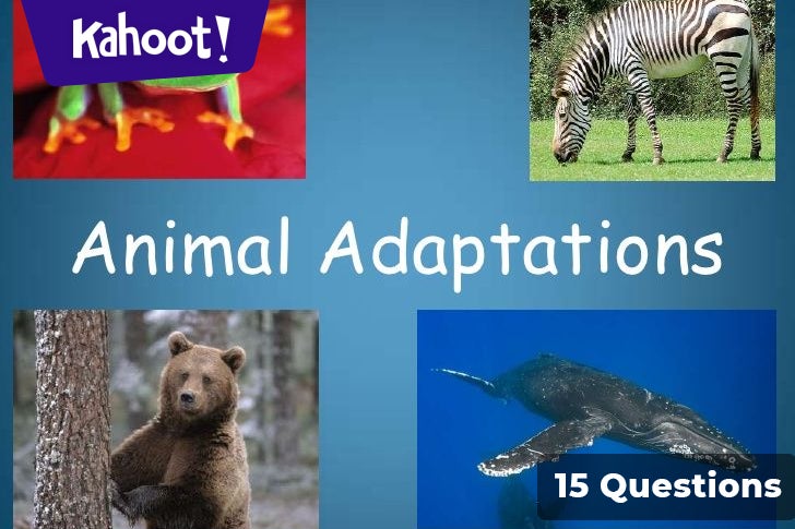 Animal Adaptations - Kahoot! Quiz